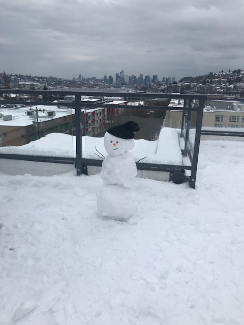 Seattle Snowmageddon – Transient Transplant